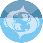 Moon Signs - Know Your Moon Sign/Rashi According To Your Birth Time ...